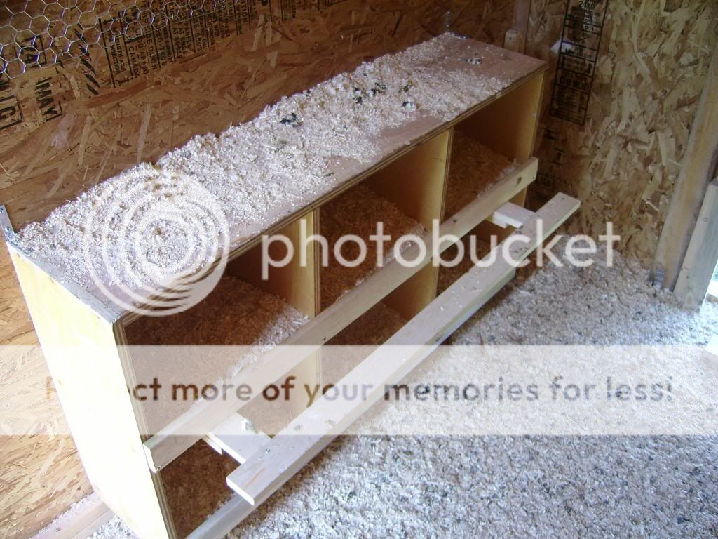 Nest box and perch pics please! | BackYard Chickens - Learn How to ...