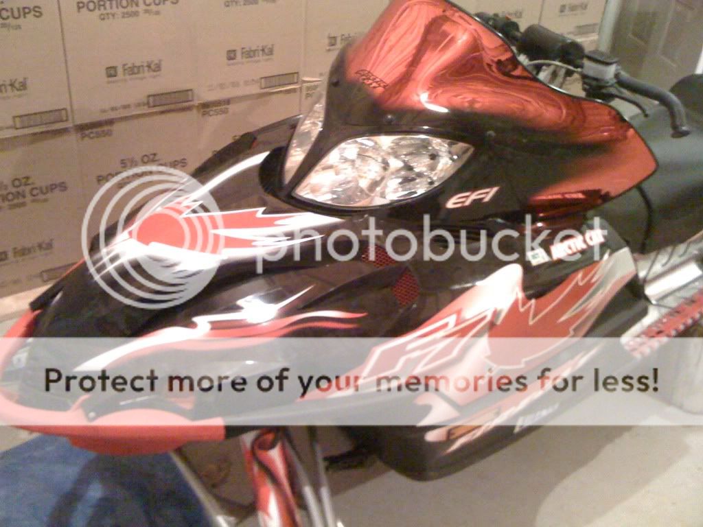 Firecat Limited Edition pics only please | Page 6 | Arctic Chat ...