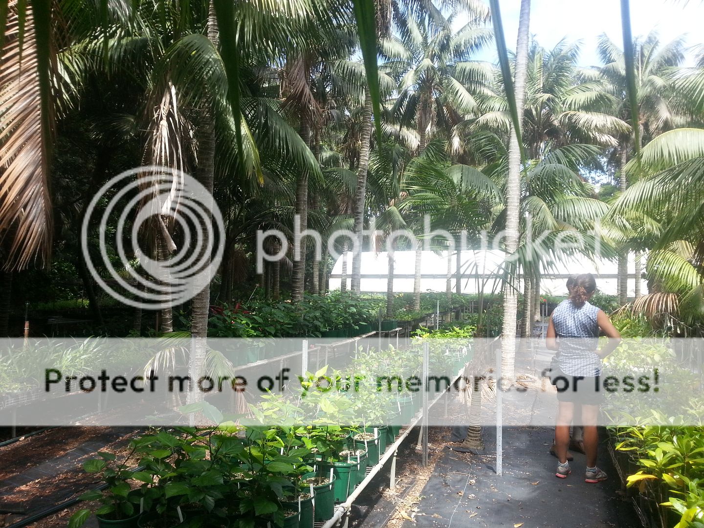 Lord Howe Island - Troy & Darold Petty's excellent adventure ...