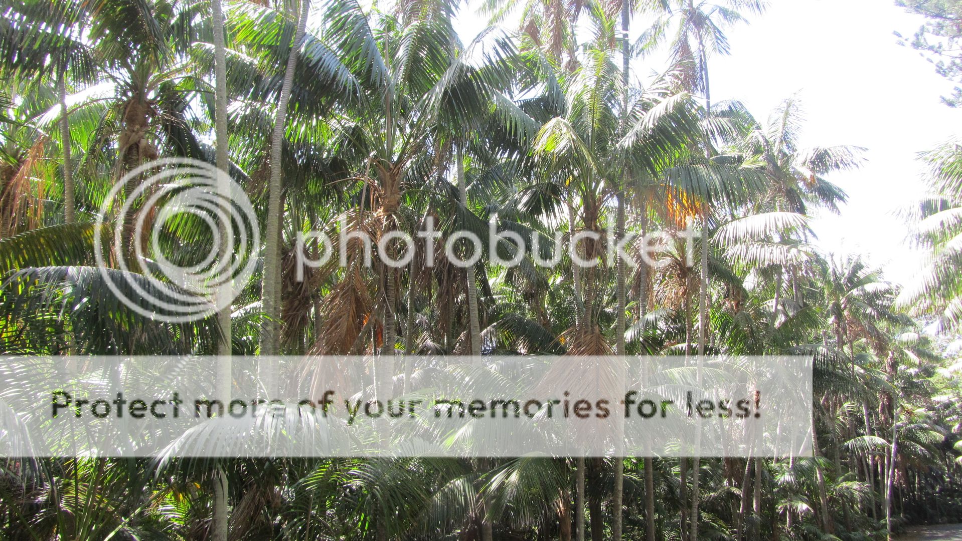 Lord Howe Island - Troy & Darold Petty's excellent adventure ...