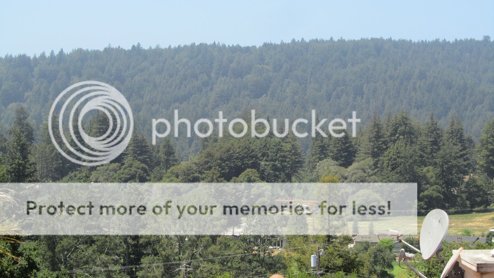 Axel & Richard Joeseph garden tour PRA Santa Cruz - DISCUSSING PALM ...